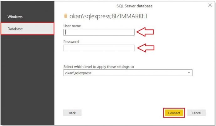 Power BI SQL Server'dan Veri Çekme(Get Data From Database)